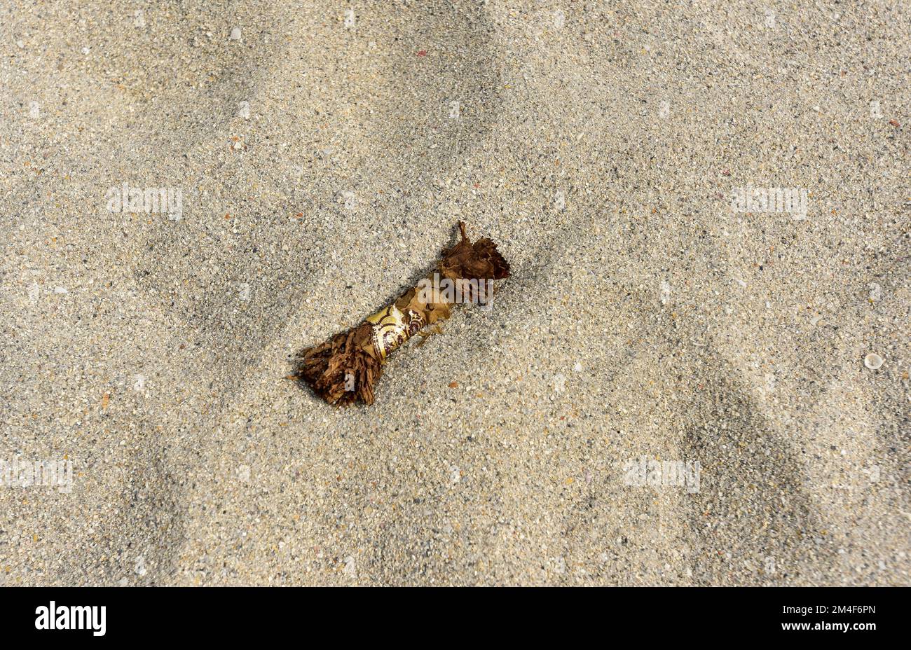 A cigar that washed up on a sandy beach, South Beach, Miami Stock Photo ...