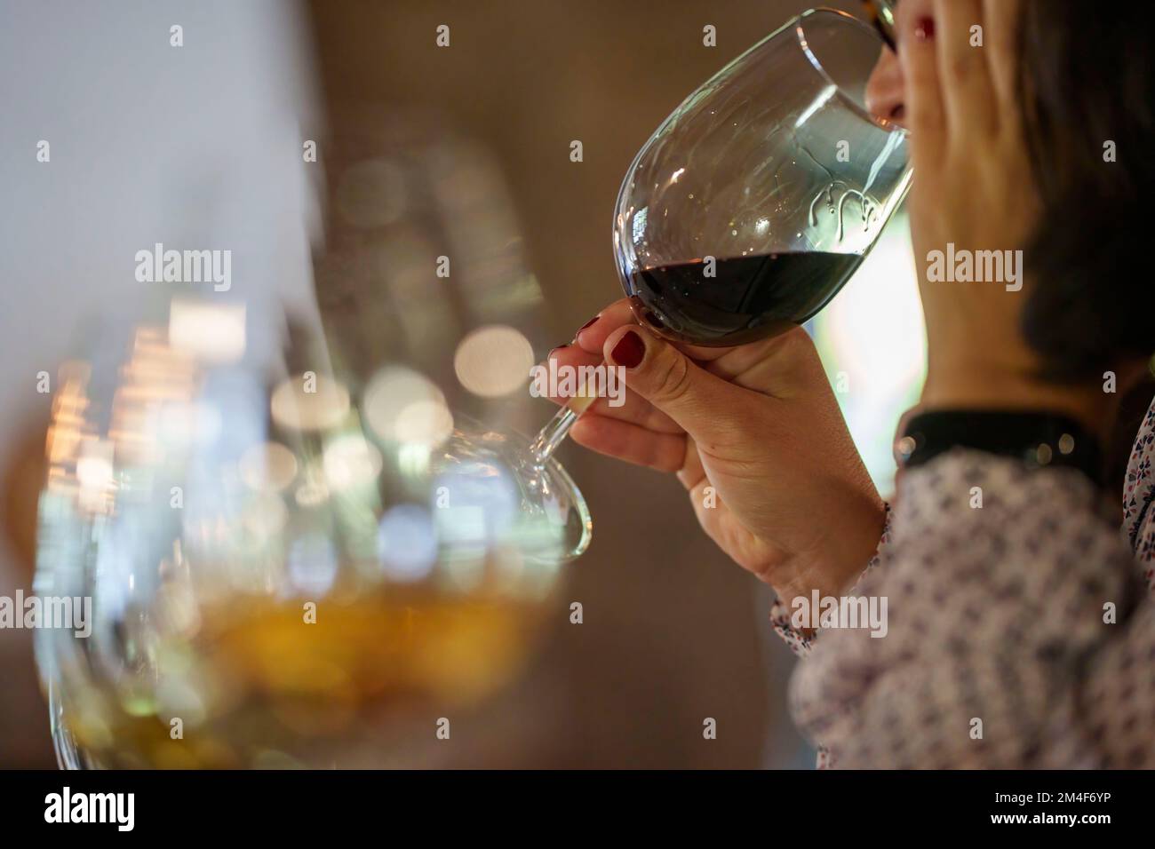 Wine degustation hi-res stock photography and images - Alamy