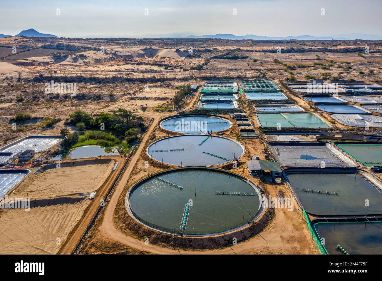 Prawn pond aerial hi-res stock photography and images - Alamy
