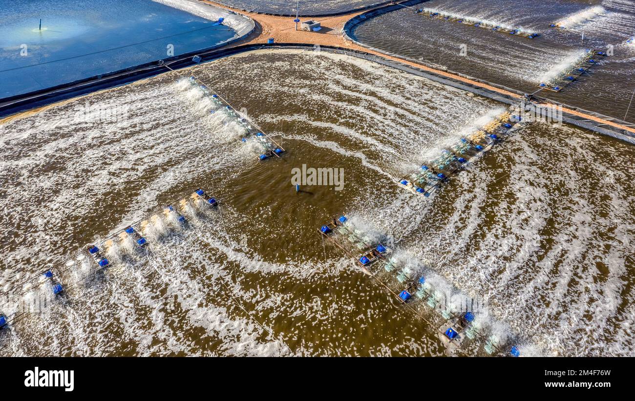 Aerial view of the prawn farm with aerator pump in front of Ninh Phuoc ...