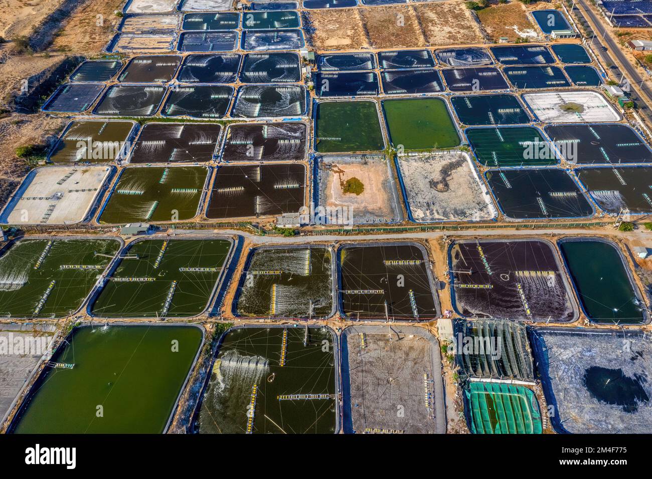 Prawn pond aerial hi-res stock photography and images - Alamy