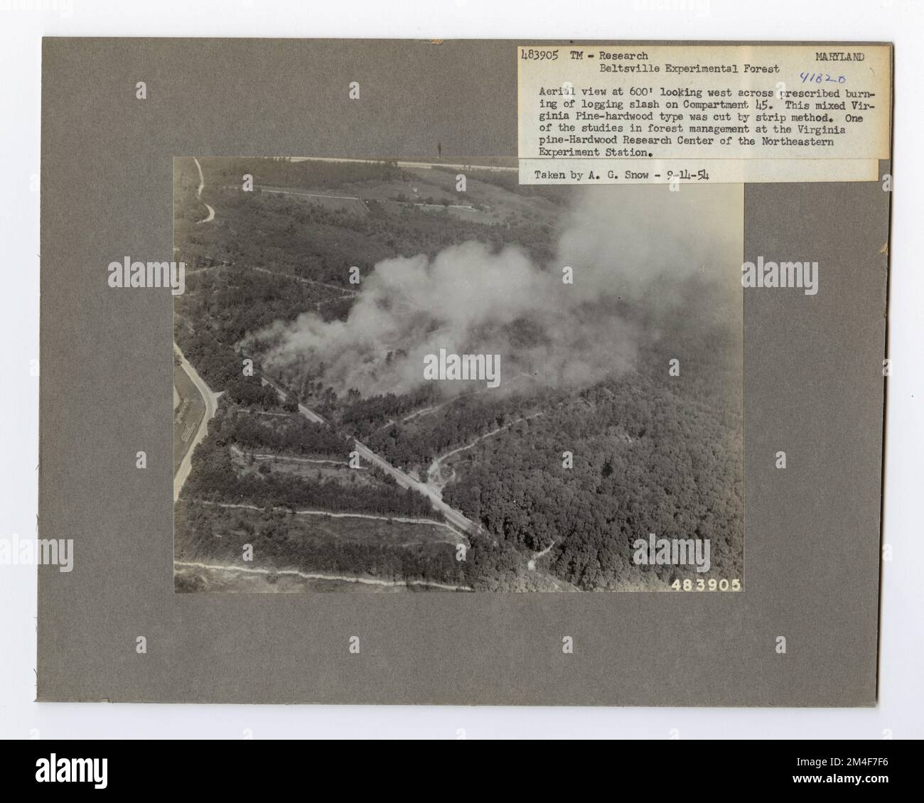 Silvicultural Systems - All States. Photographs Relating to National ...