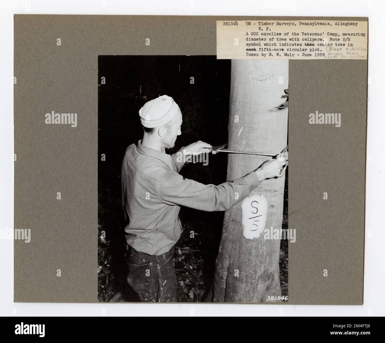 Forest Mensuration: Surveying/Studies - Pennsylvania. Photographs ...