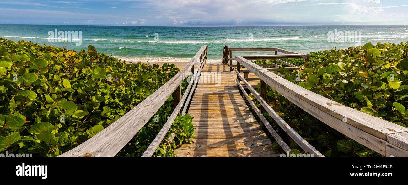 Boardwalk Over Sand Dunes To The Beach, Palm Beach , Florida, USA Stock ...