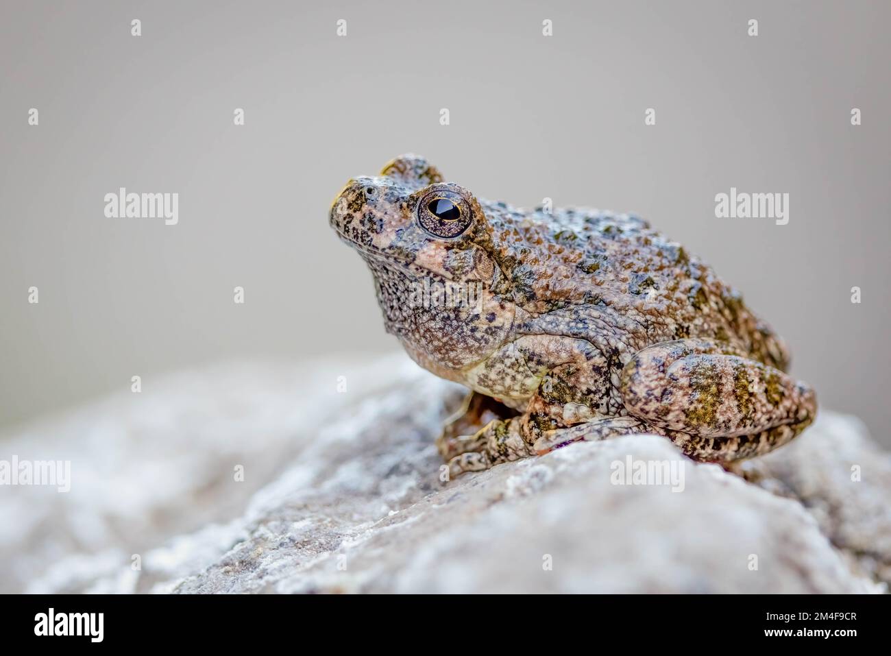 Catron county hi-res stock photography and images - Alamy