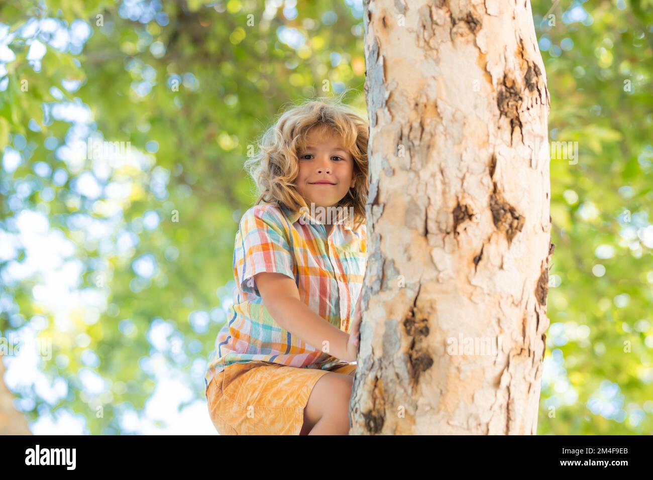 8 years old boy climbing high tree in the park. Overcoming the fear of ...