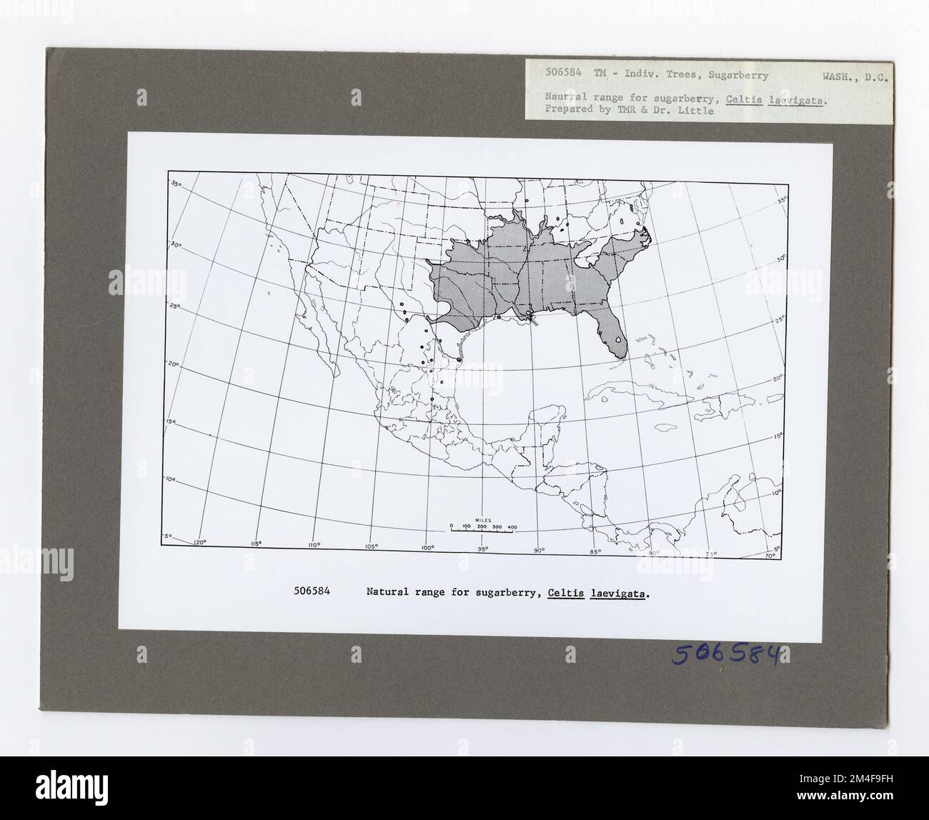 Tree Identification - Sugarberry. Photographs Relating to National ...