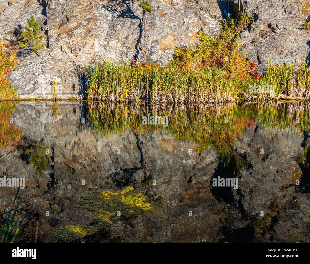 North dakota ecosystem hi-res stock photography and images - Alamy