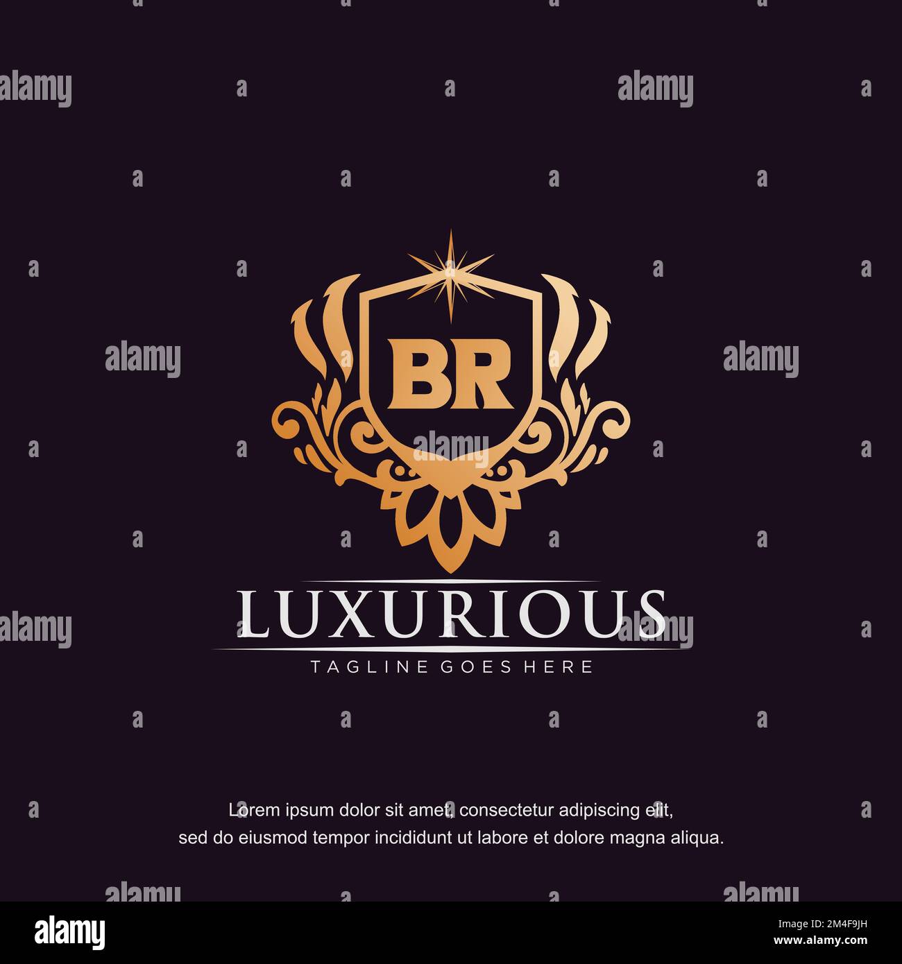 BR initial letter luxury ornament gold monogram logo template vector ...