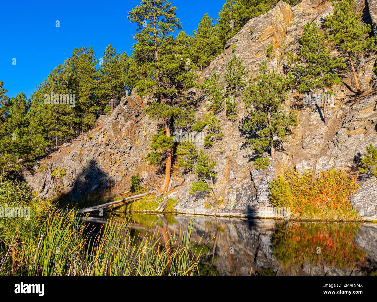 Black hills creek hi-res stock photography and images - Alamy