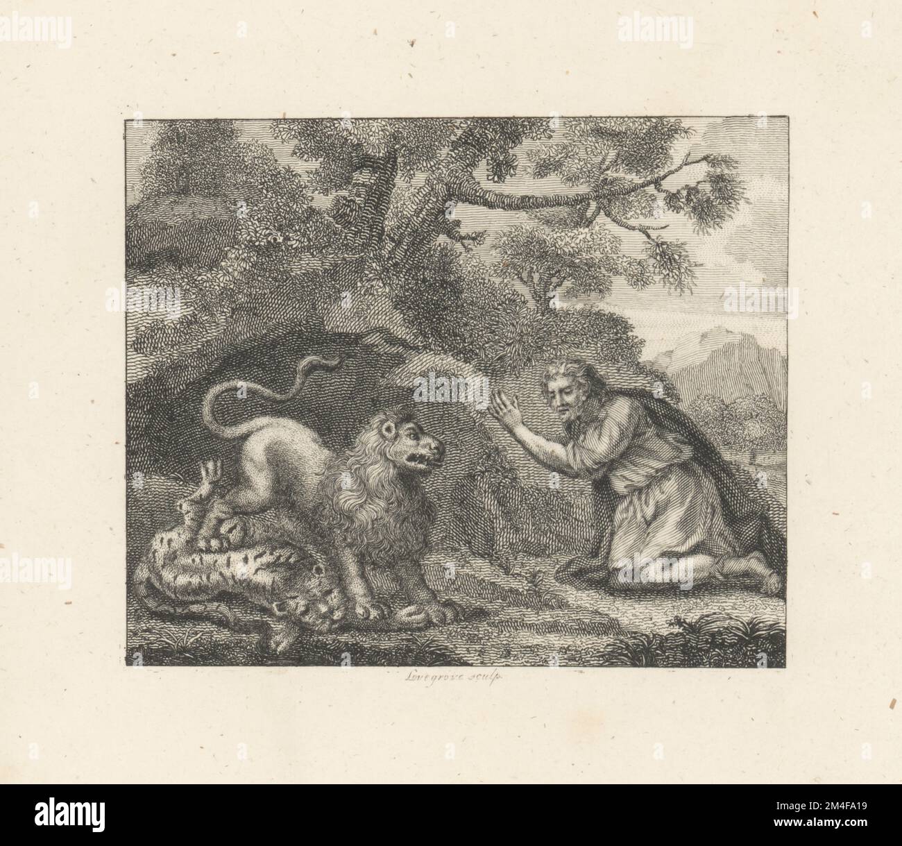 Aesop lion man hi-res stock photography and images - Alamy