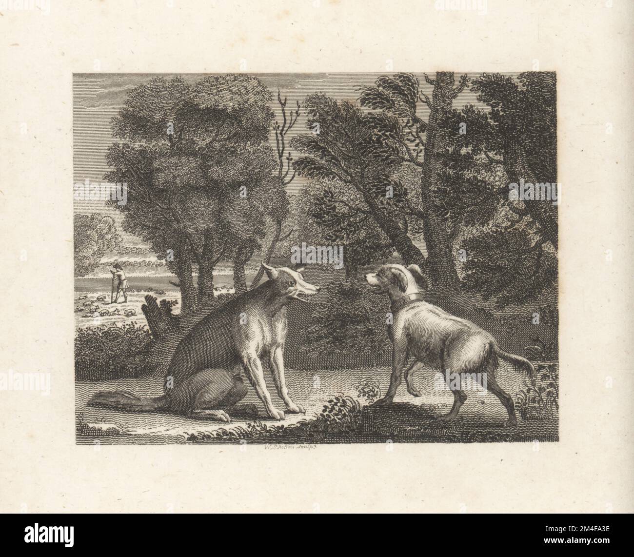 The Shepherd's Dog and the Wolf. In the woods, the sheepdog Lightfoot ...