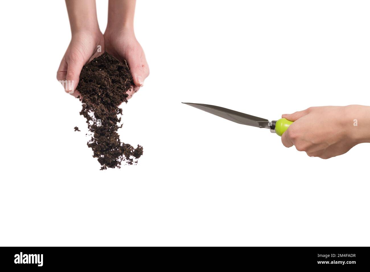 Brown soil in woman hands isolated on white background. The soil falls ...