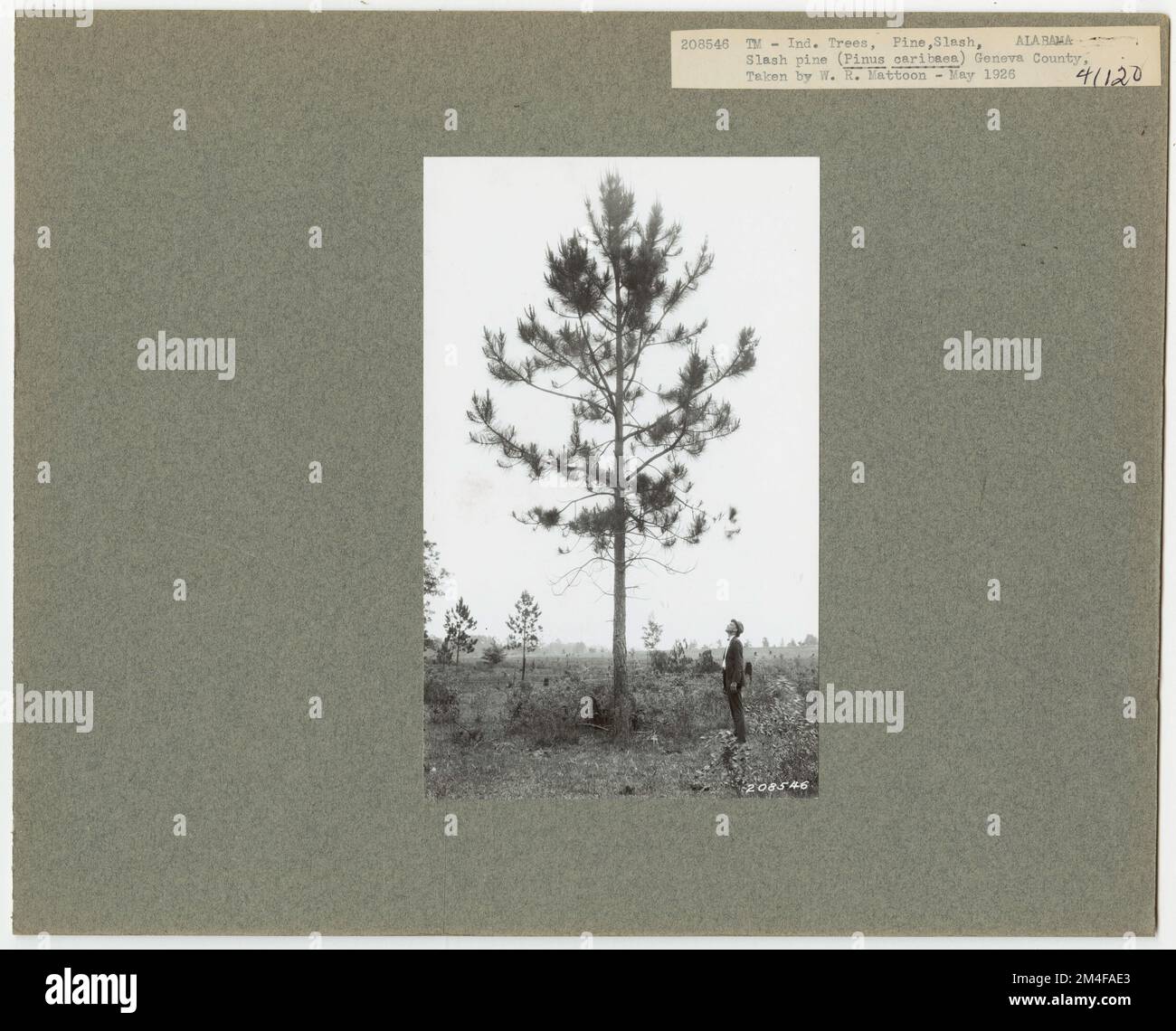 Slash photographs hi-res stock photography and images - Alamy