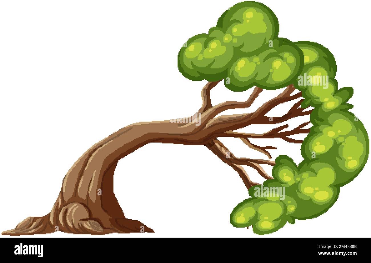 An isolated tree cartoon illustration Stock Vector Image & Art - Alamy