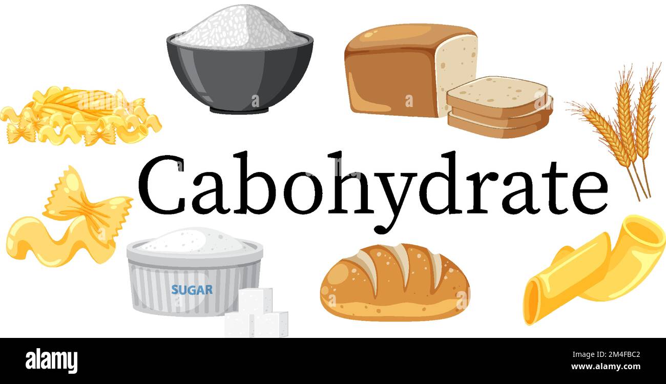 Variety of carbohydrates foods vector illustration Stock Vector Image ...