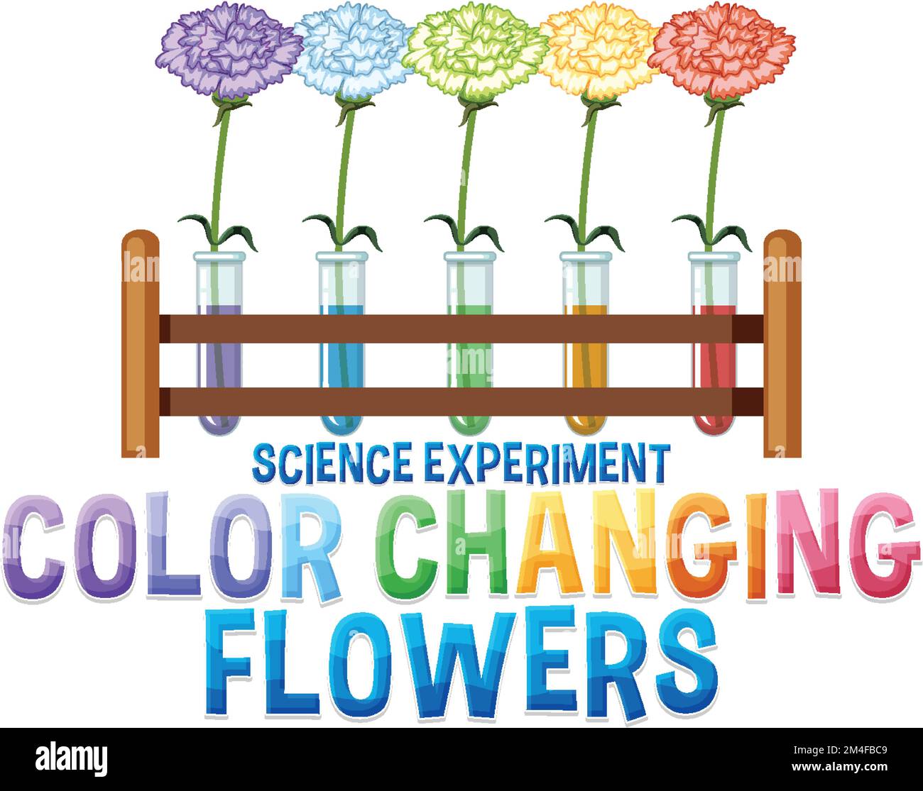 Color changing flowers science experiment illustration Stock Vector ...