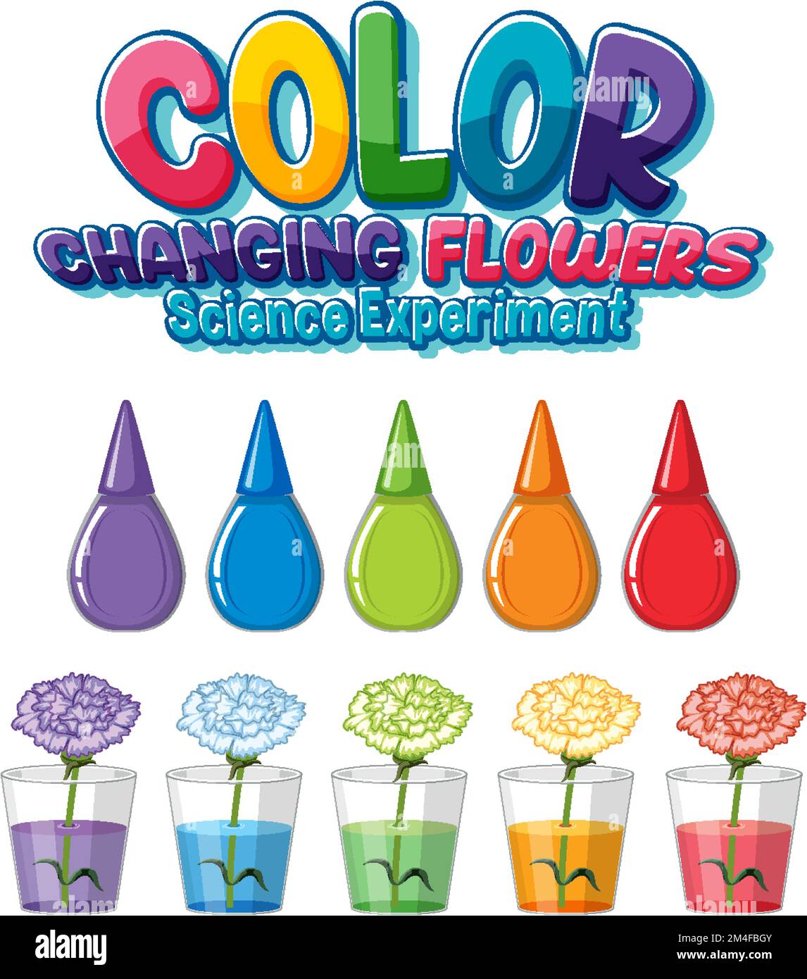 Color Changing Carnations Science Projects