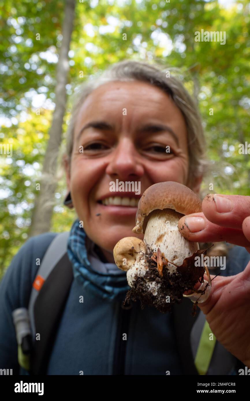 Mushroom forager trying to identify wild mushrooms in the forest with ...