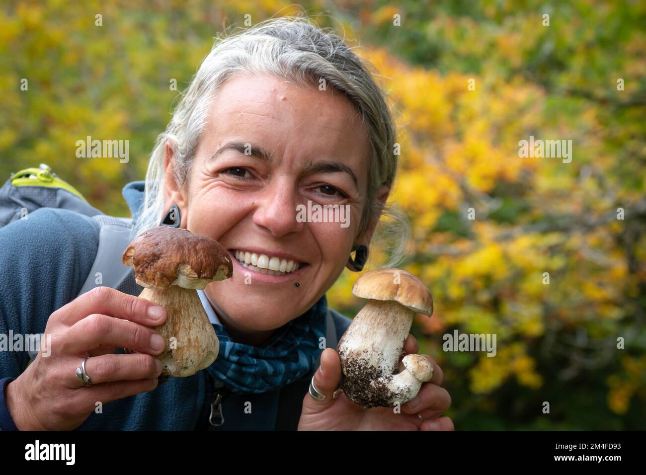 Mushroom forager trying to identify wild mushrooms in the forest with ...