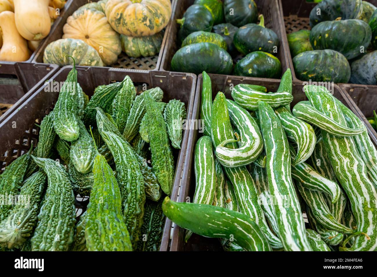 Vegetables at Traditional Local Omani Market Stock Photo - Alamy