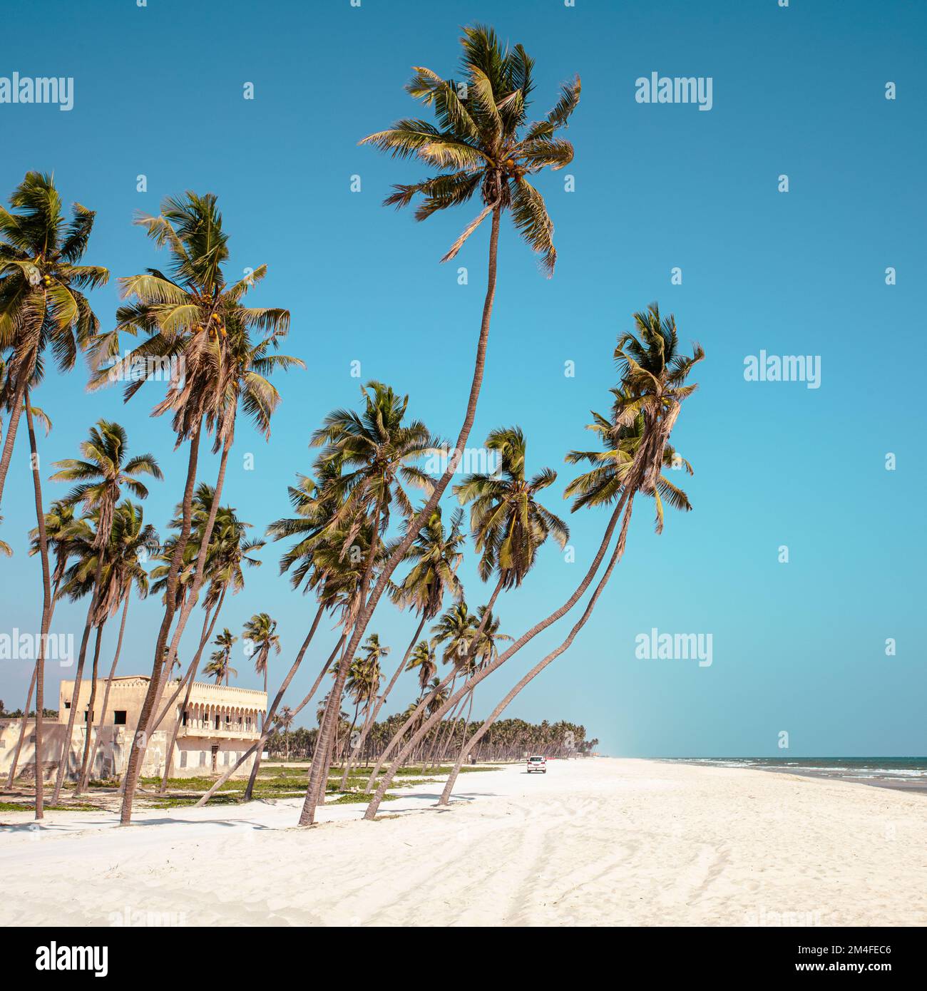 Al Haffa beach at Salalah, Sultanate of Oman Stock Photo - Alamy