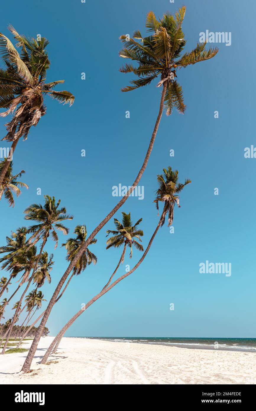 Al Haffa beach at Salalah, Sultanate of Oman Stock Photo - Alamy