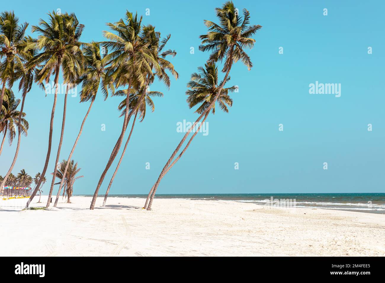 Al Haffa beach at Salalah, Sultanate of Oman Stock Photo - Alamy