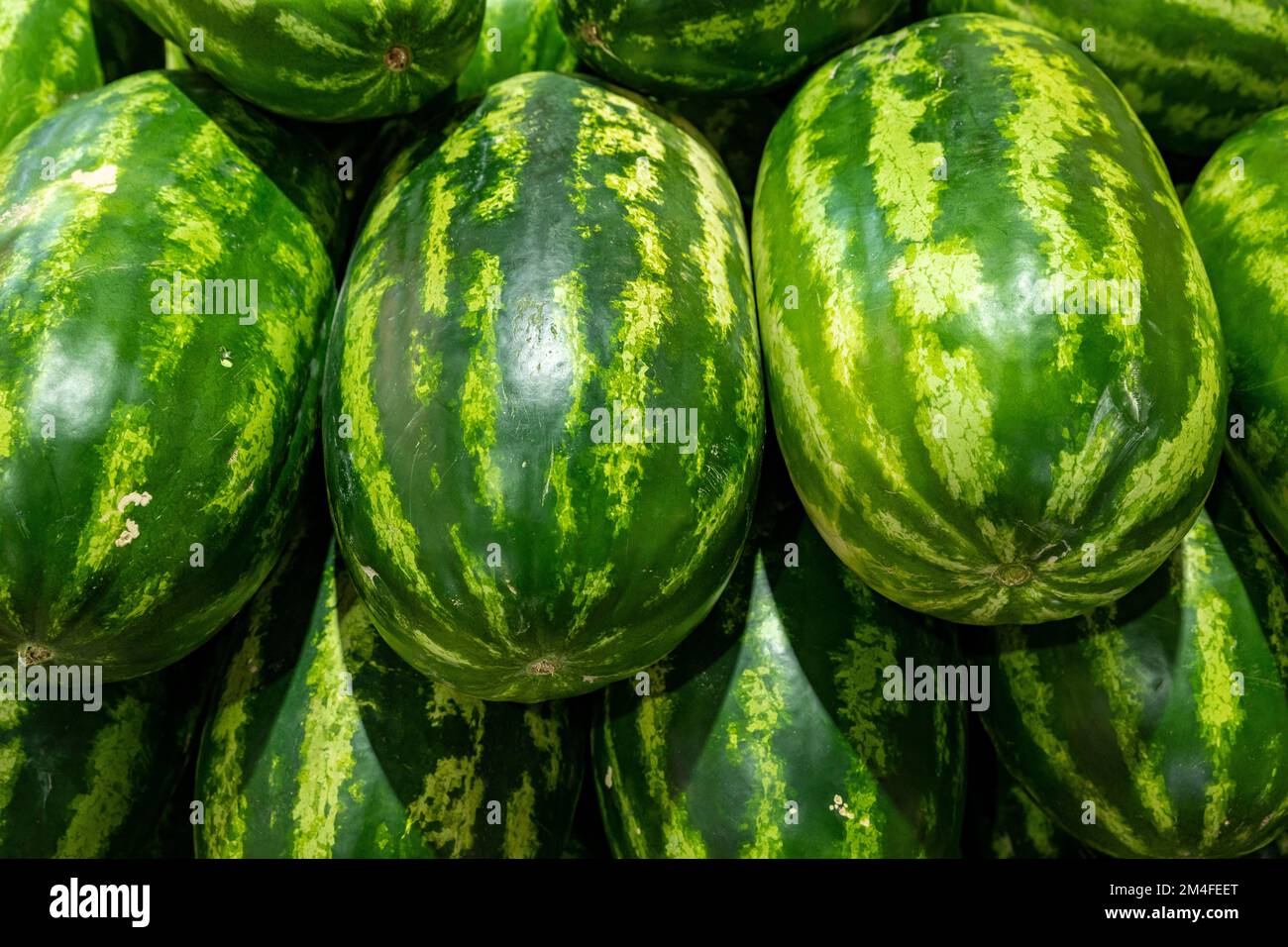 Green watermelons sold in a street market in Oman Stock Photo - Alamy