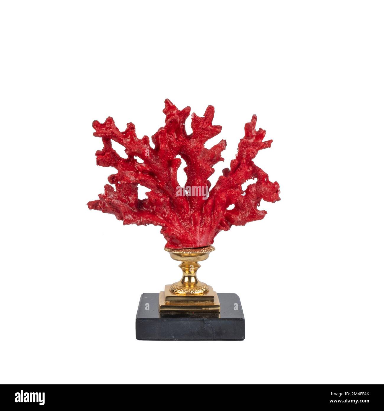 decorative object coral figure isolated on white background Stock Photo ...