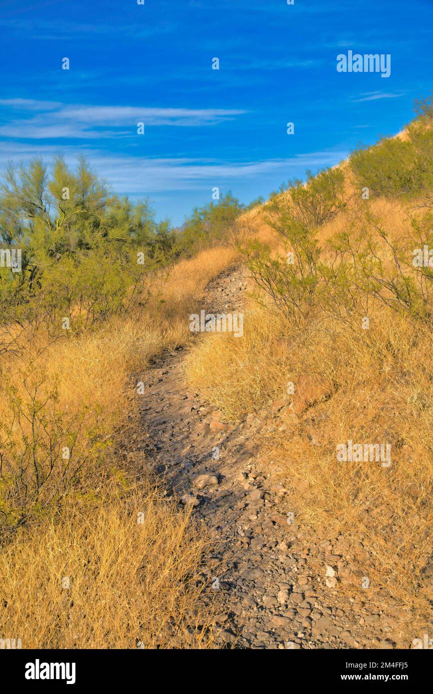 Narrow hiking trail in the middle of grasses on a mountain slope ...
