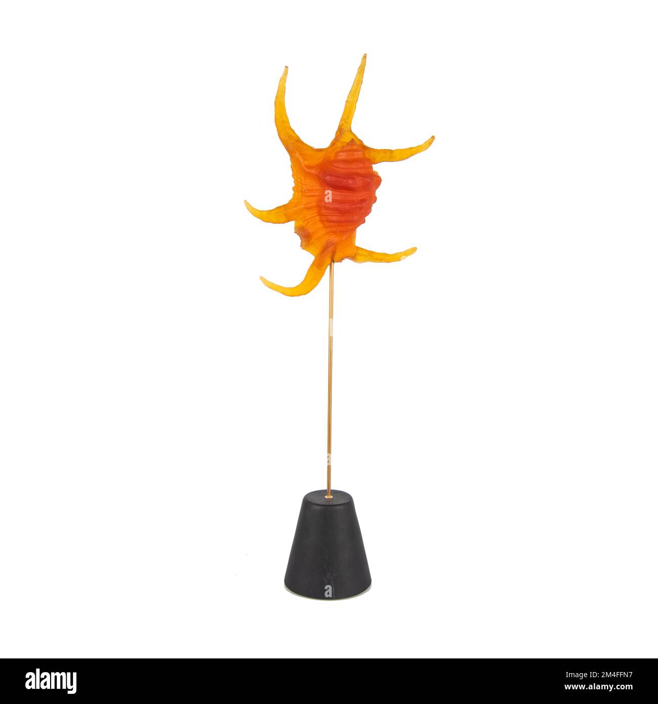 decorative glass accessory for living room decor isolated Stock Photo ...