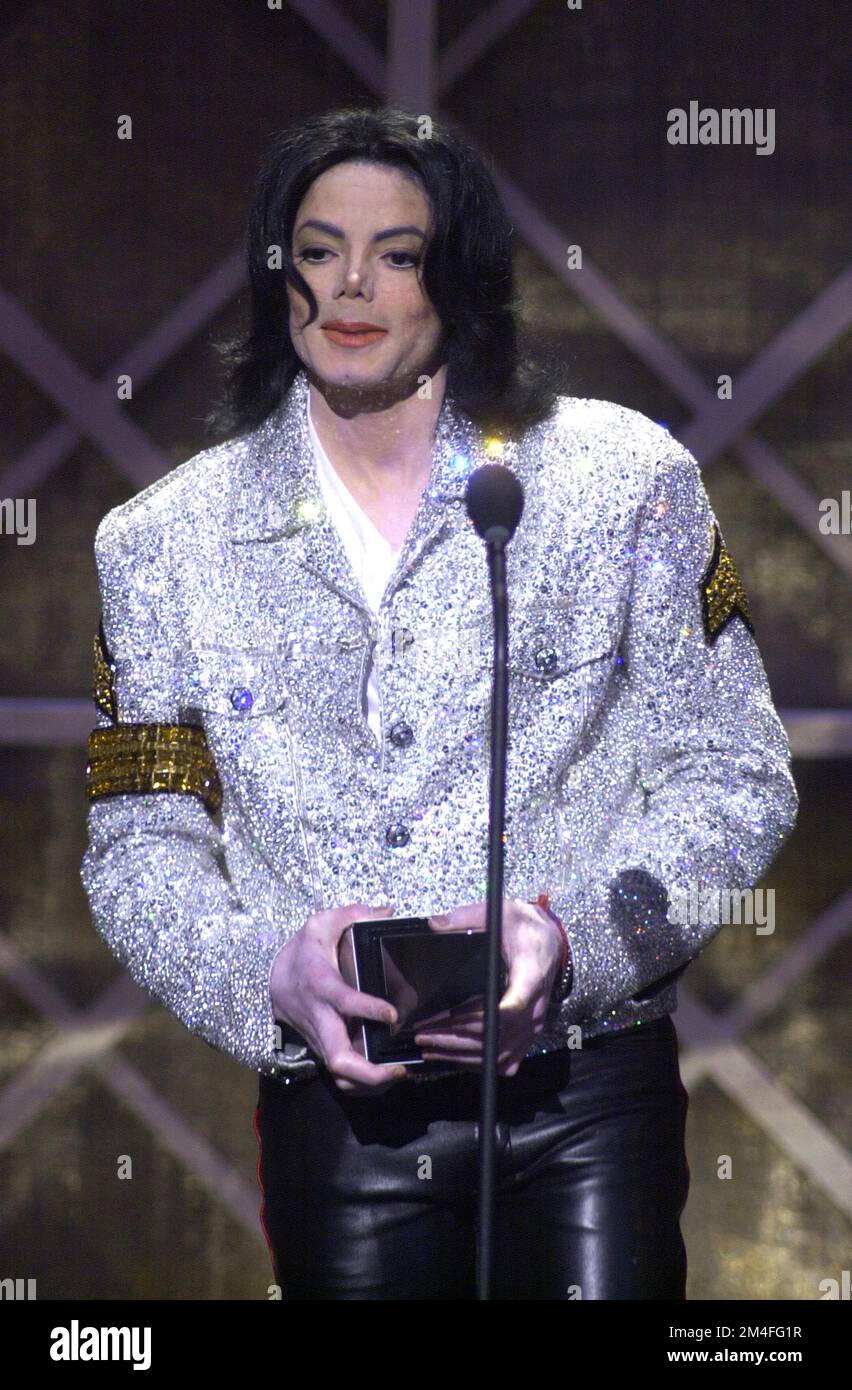 Michael Jackson 2002 Award