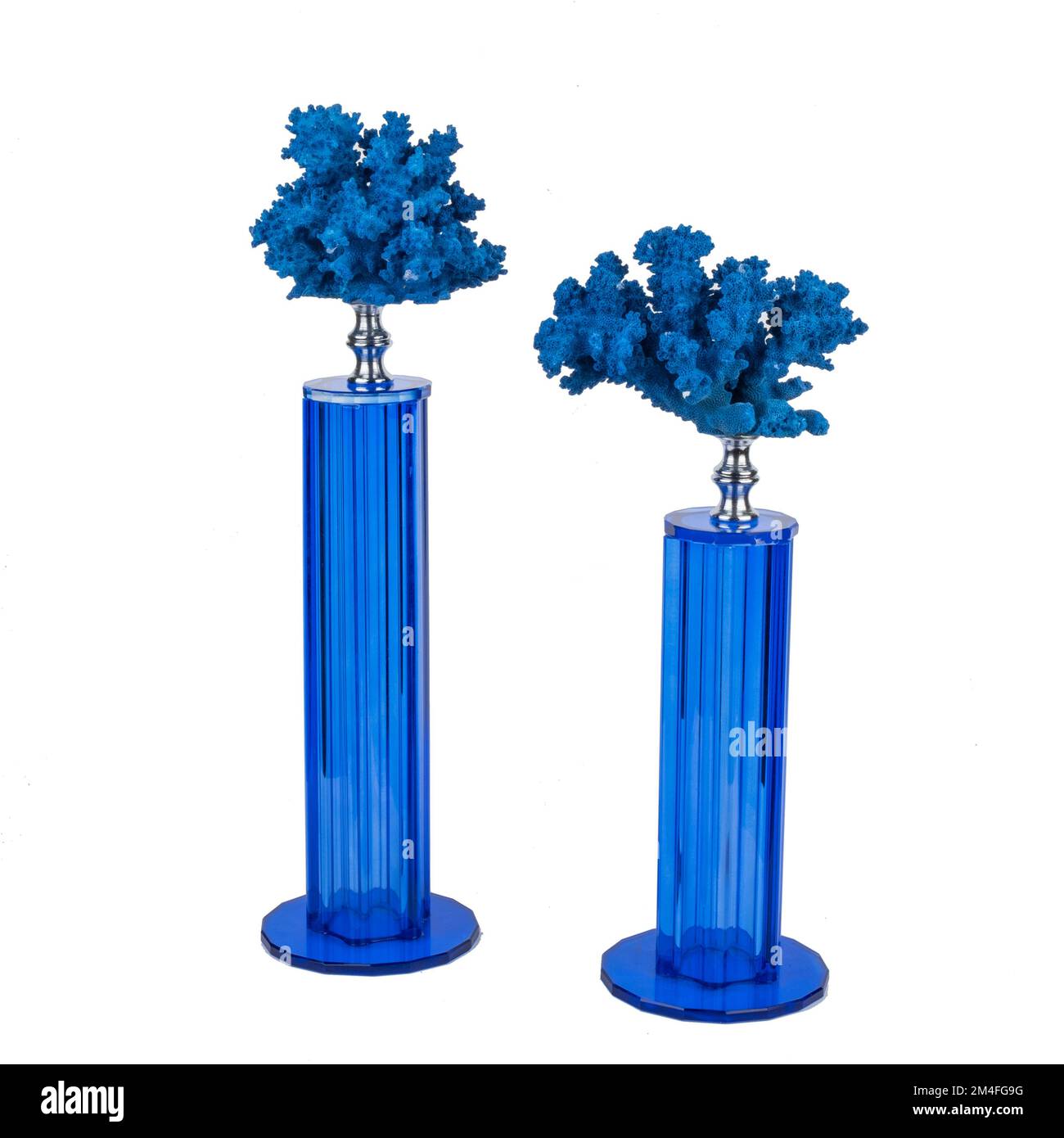 Coral detail Cut Out Stock Images & Pictures - Alamy