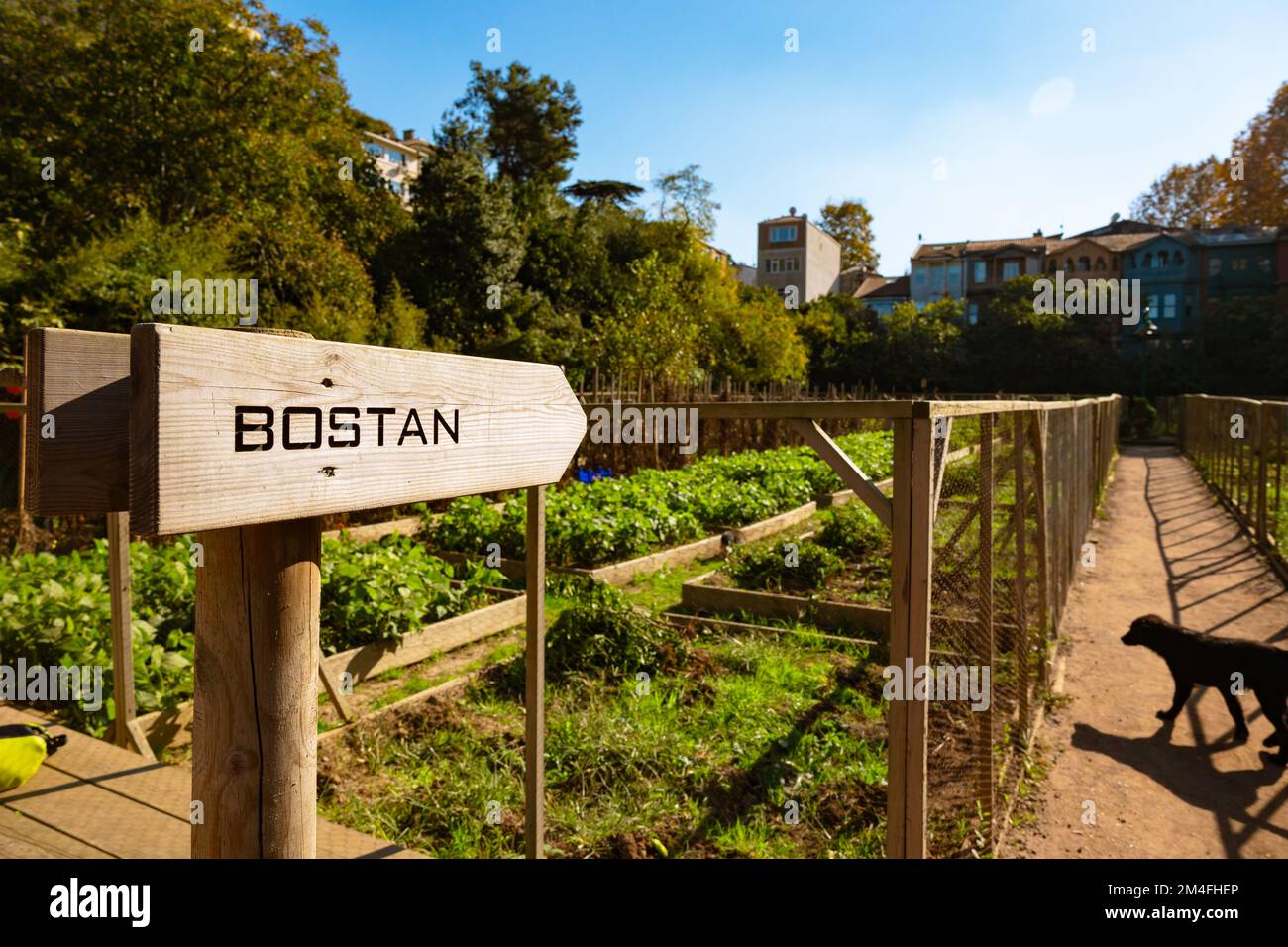 Kuzguncuk Bostani or Kuzguncuk Market Garden in Istanbul. Market Garden ...