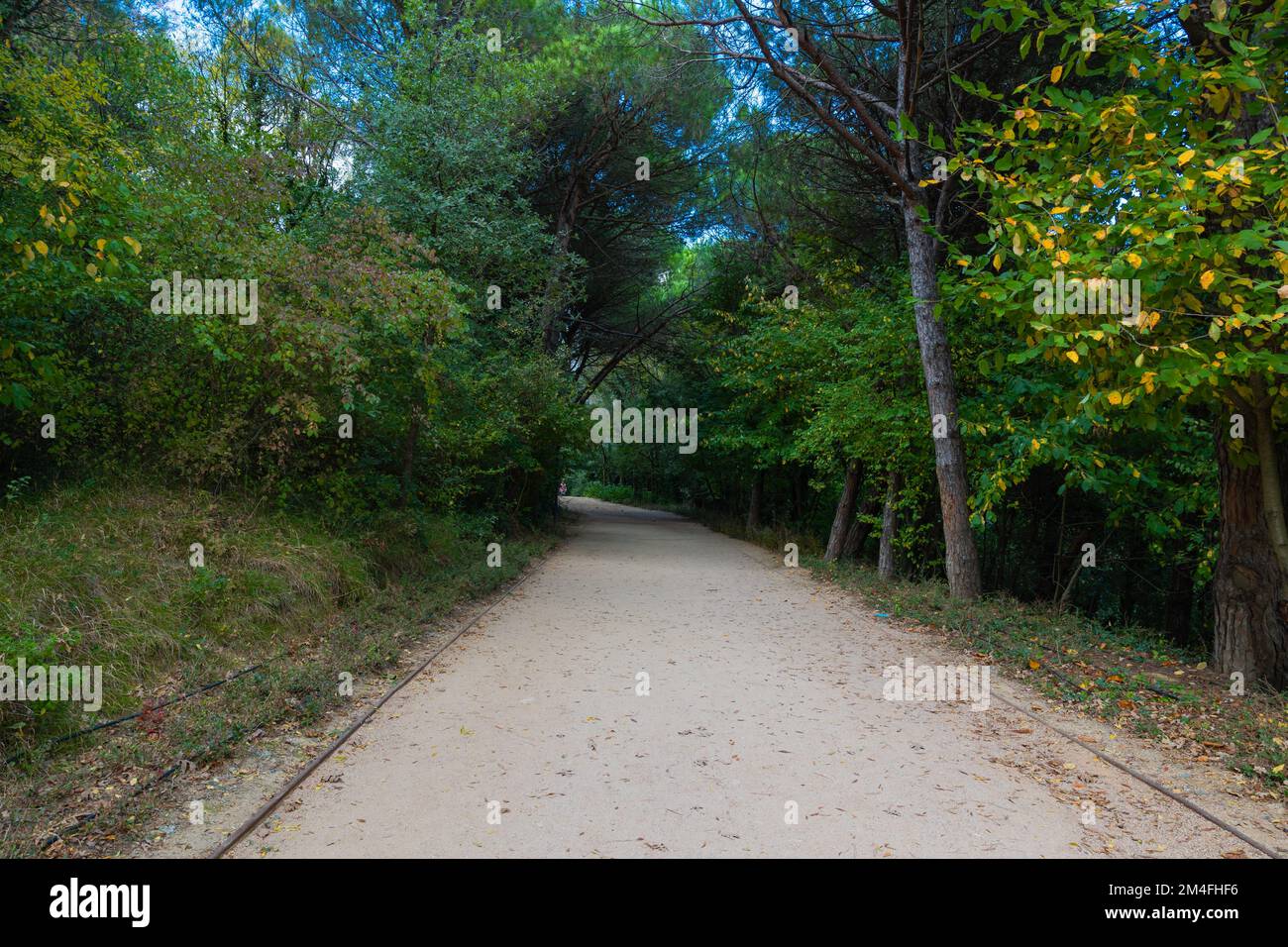 Jogging trail in the park in the autumn. Ataturk City Forest in ...