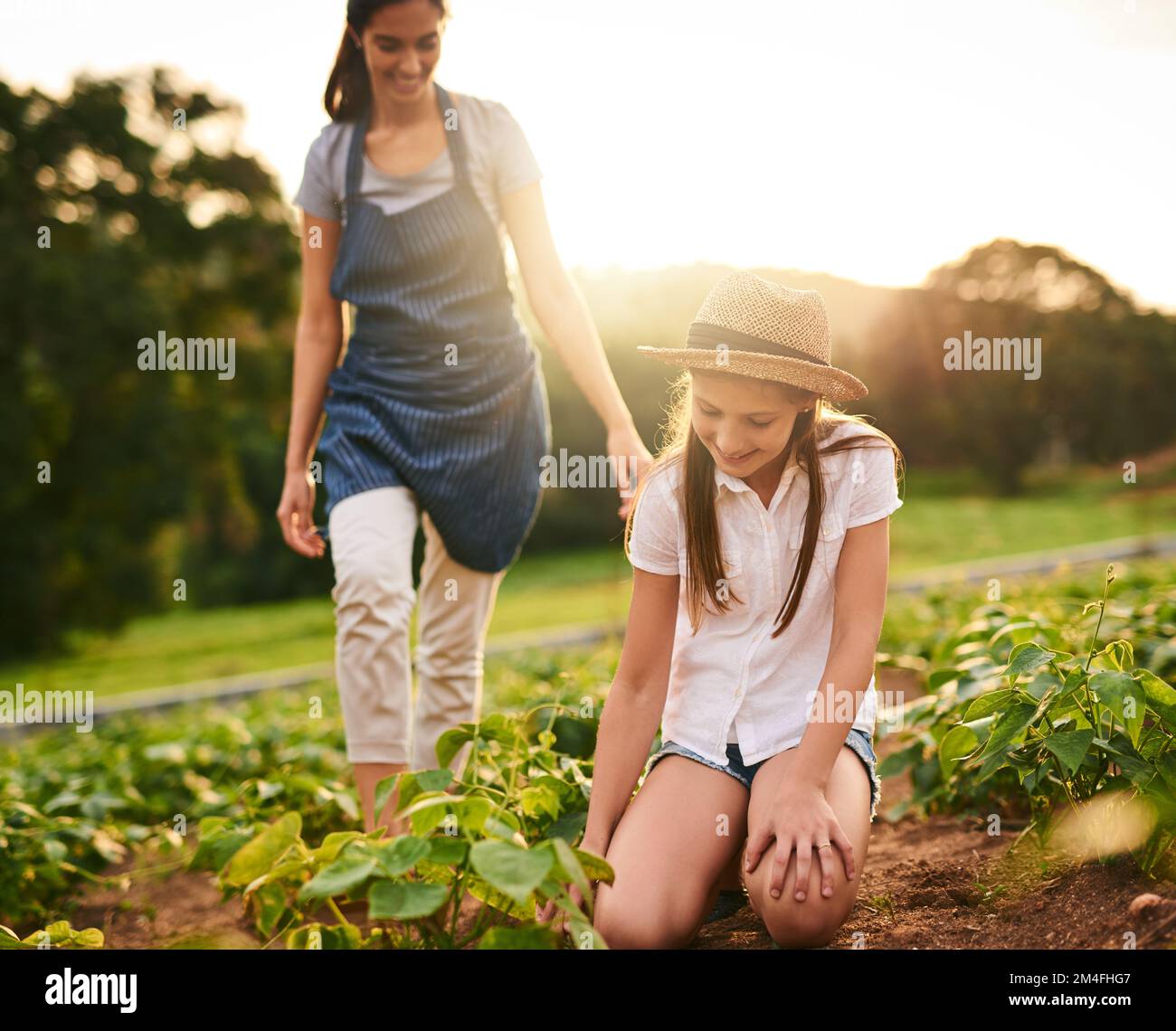 Working family hi-res stock photography and images - Alamy