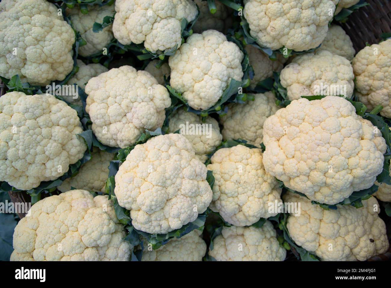 Healthy cauliflower hi-res stock photography and images - Alamy