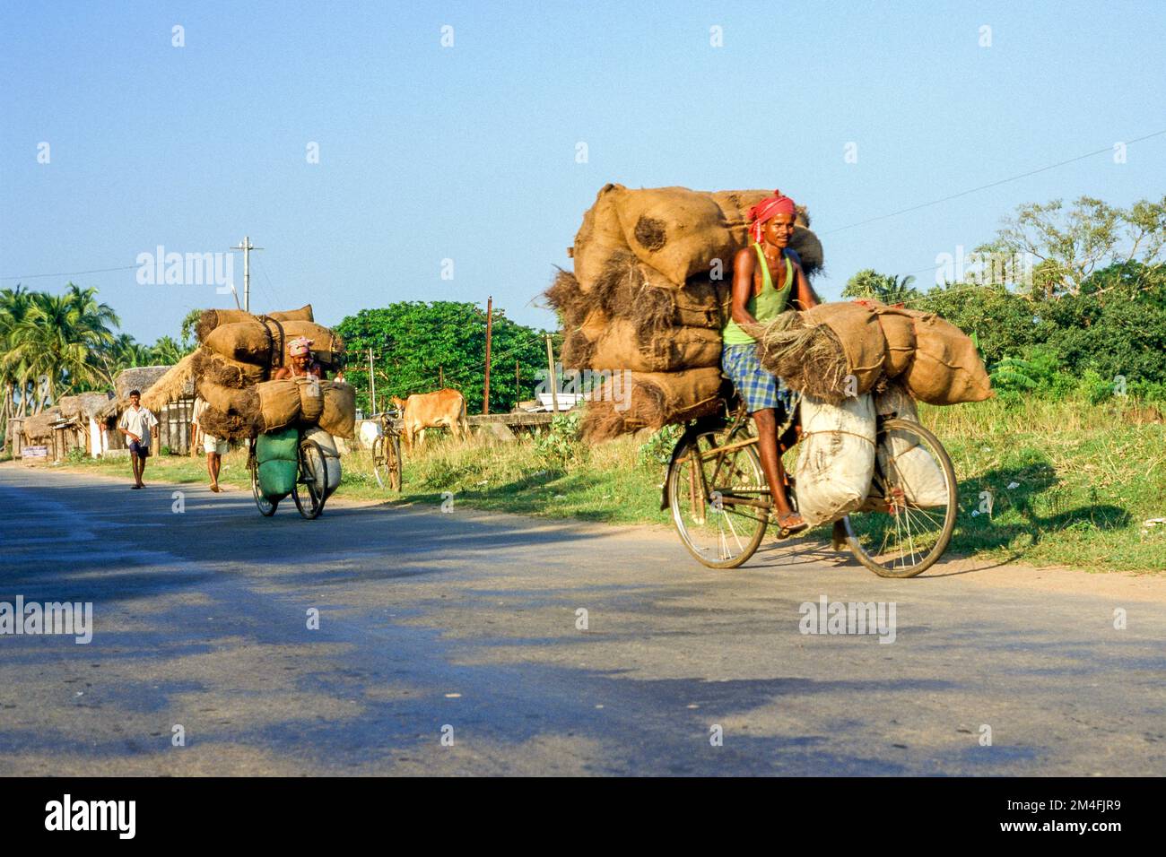 Cyclists in India sometimes transport heavy loads Stock Photo - Alamy