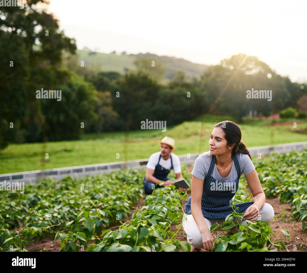 Doing their part. an attractive young woman working on the family farm ...