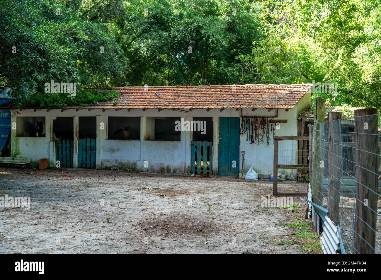 the architecture of the Brazilian countryside in the South America ...