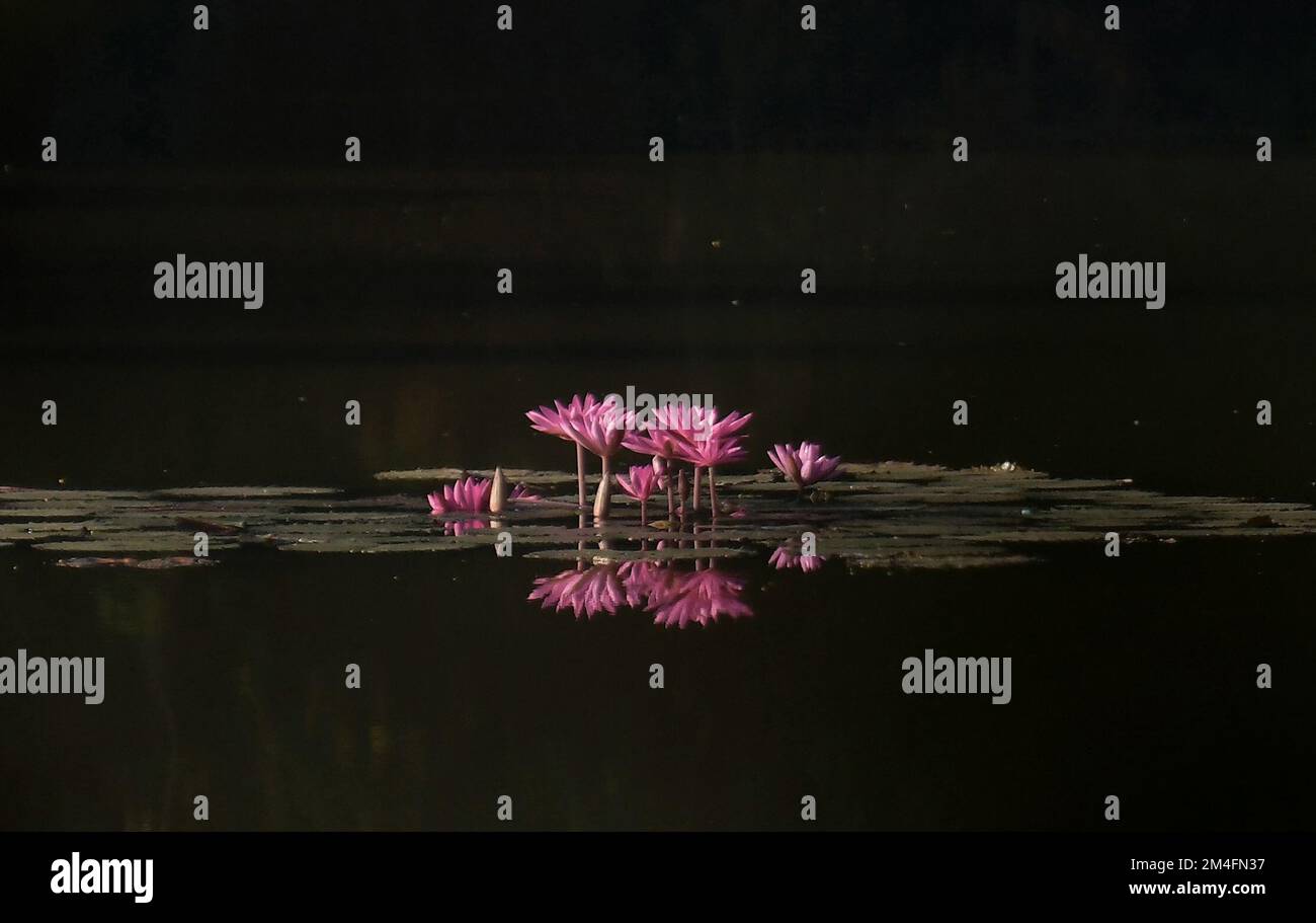 Mbb college hi-res stock photography and images - Alamy