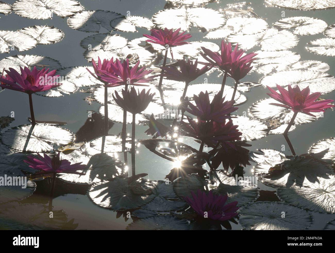 Mbb college hi-res stock photography and images - Alamy