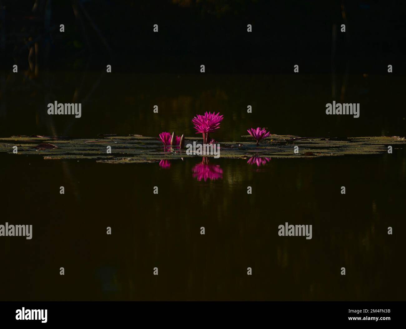 Mbb college hi-res stock photography and images - Alamy