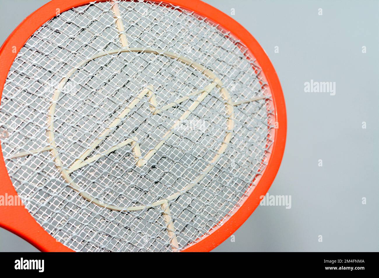 Electric fly, mosquito and bug swatter for hit and shock house insects ...