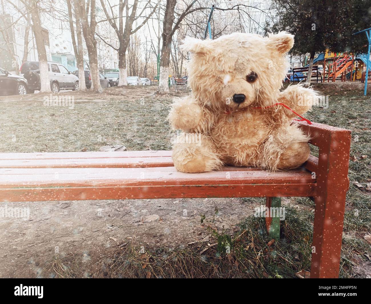 Damaged soft toy. Teddy bear abandoned on the street. Doll alone in ...