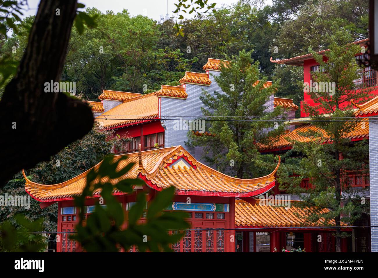 Chinese traditional classical lotus pond garden and architectural ...