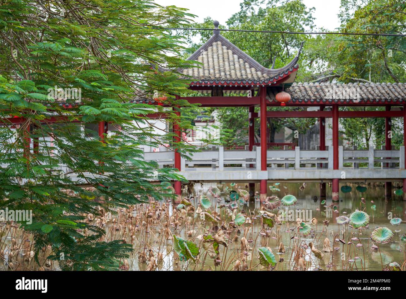 Chinese traditional classical lotus pond garden and architectural ...