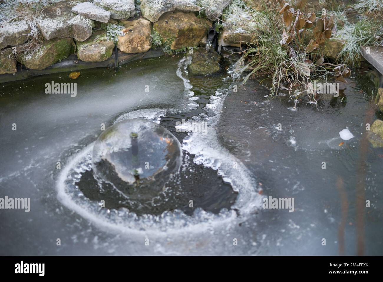 A garden pond covered in ice with a hole for the water fountain ...