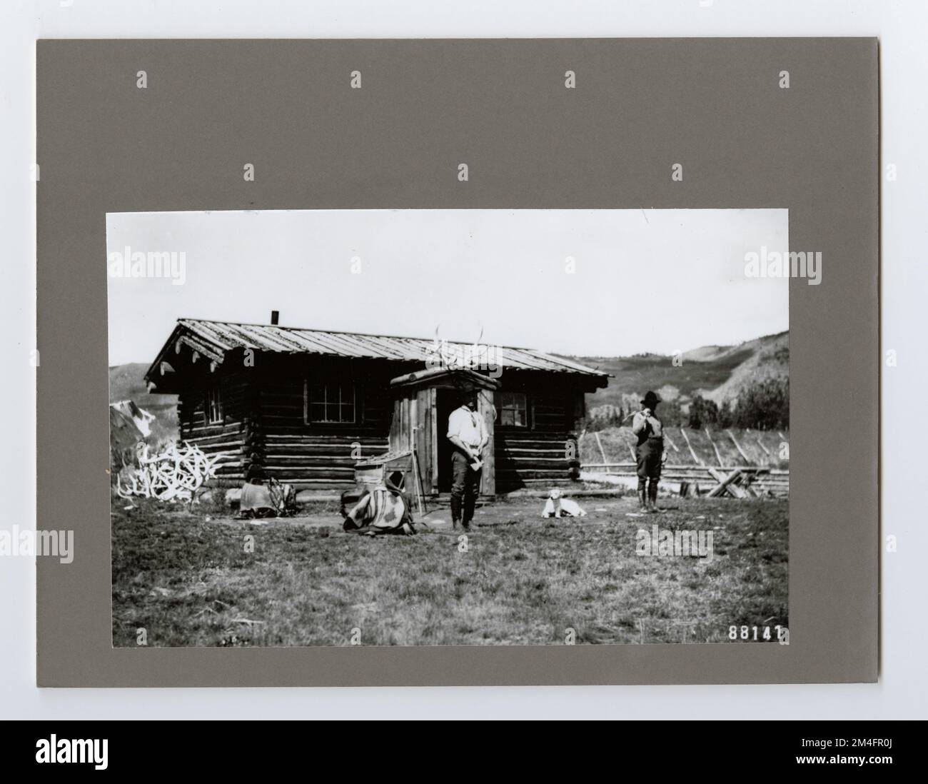 Fur trapping hi-res stock photography and images - Alamy